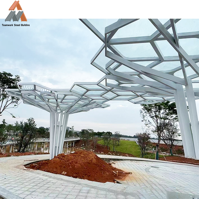 Light Gauge Steel Frame - Foshan Teamwork Steel Structure Co., Ltd.