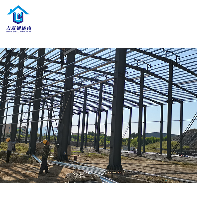 Steel Frame Building for Sale - Guangdong Liyou Steel Structure ...